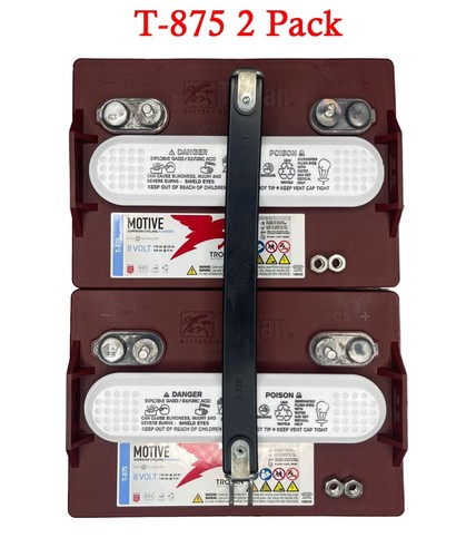 Trojan T-875 T875 8 Volt 170Ah Deep Cycle Battery - BCI Group GC8 (Set ...