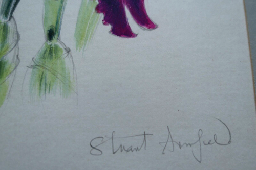 STUART MAXWELL ARMFIELD ( 1916 - 1999 ) Watercolour. Orchid Cattleya ...
