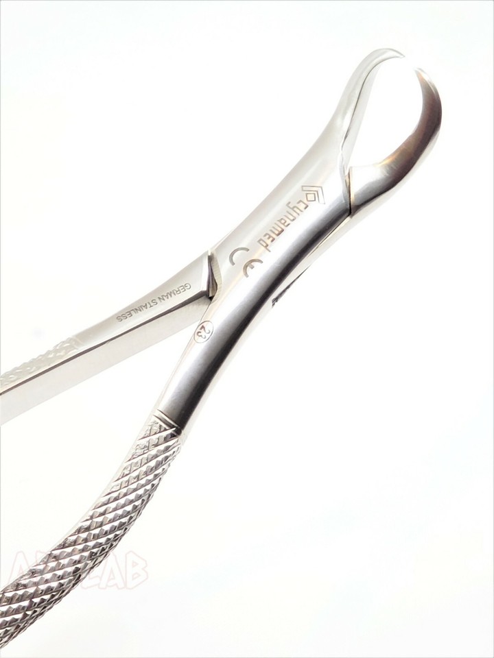 2 GERMAN COW HORN LOWER MOLAR DENTAL TOOTH EXTRACTION EXTRACTING ...