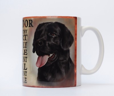 Labrador mug Labrador dog mum mug dog dad mug dogs new Labrador gifts ...