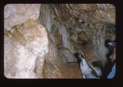 Vintage Film Slide 1955 Santa Cruz Caves Randall Stump | eBay