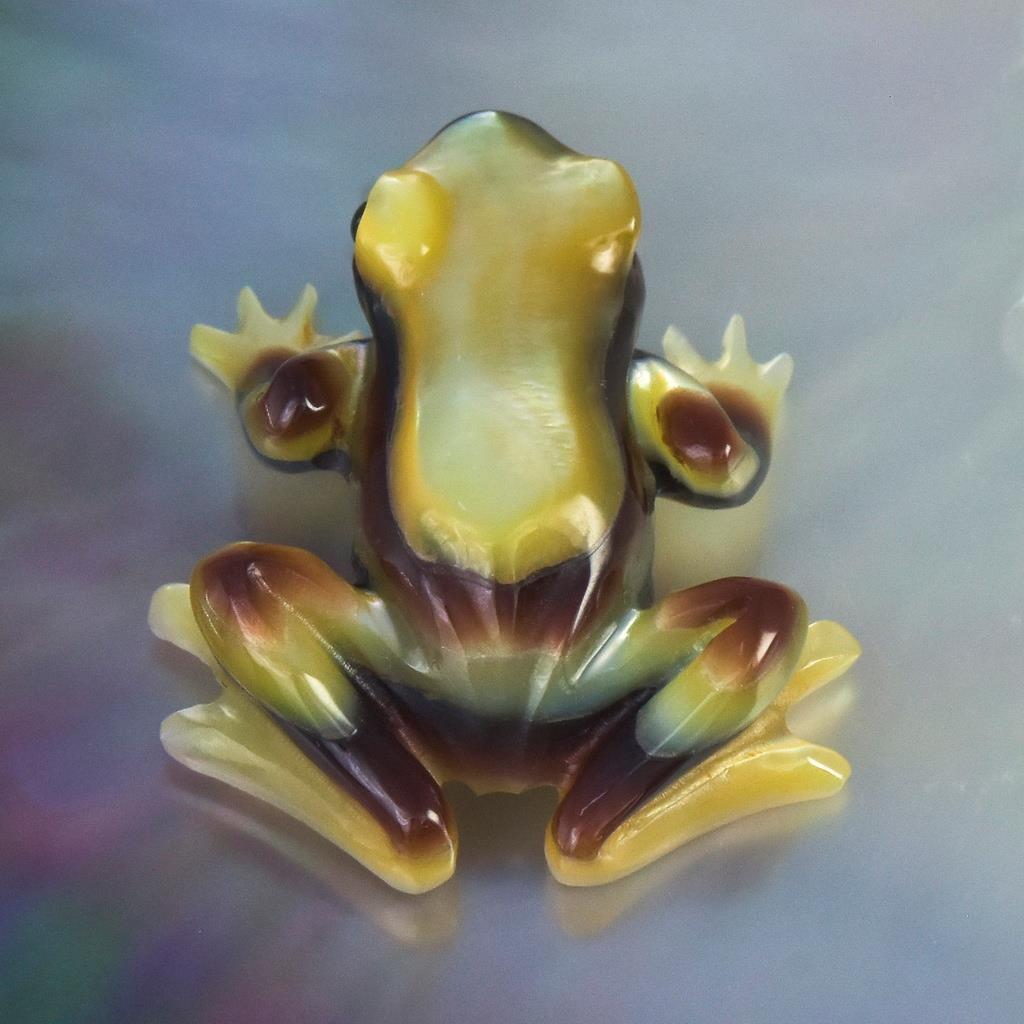 Curare Poison Arrow Frog Mother-of-Pearl Shell Carving Collection ...