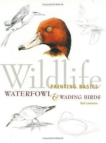 Wildlife Painting Basics Waterfowl and Wading Birds by Rod Lawrence ...