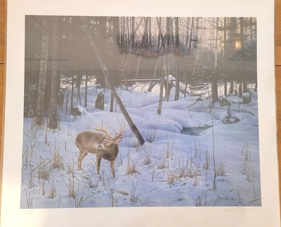 Brian Kuether Limited Edition Whitetail Deer Art Print /No frame (20x23 ...