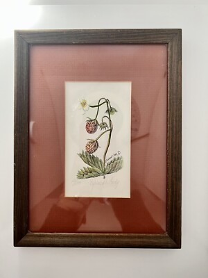 Vintage STRAWBERRY Signed Art Print 9x6.5” Oregon Artist Richard L ...