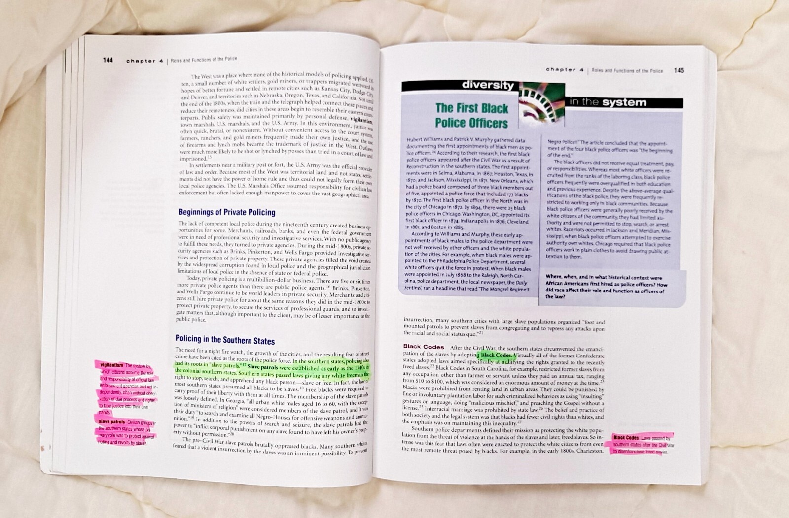 Criminal Justice : A Brief Introduction by Michele Bratina and James ...