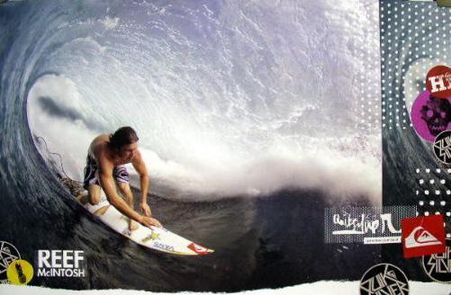 Reef Surfing Wallpaper