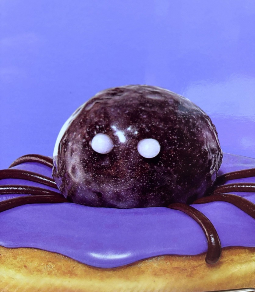 Limited Edition Dunkin Spider Donut Plush Keychain 2025 Limited ...