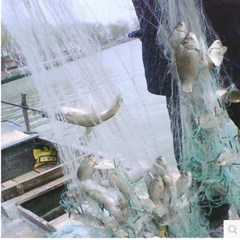 100 ft Survival Gill Net--Fully Adjustable, Multipurpose(Enhanced)-4/5 ...