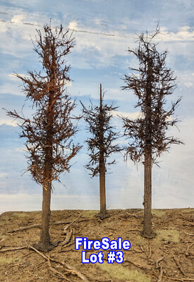 !FIRESALE! Fire-Burnt Model Trees Fir Railroad HO Scale 7 to 9 inches ...