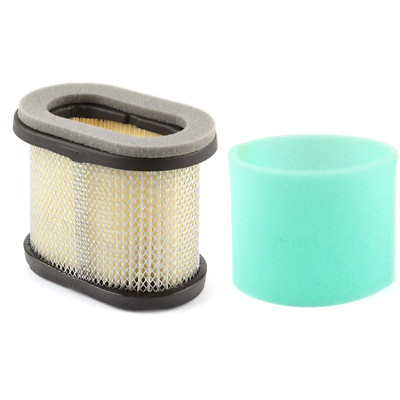Briggs & Stratton 697029/273356S Air Filter and Pre-Filter Combo | eBay