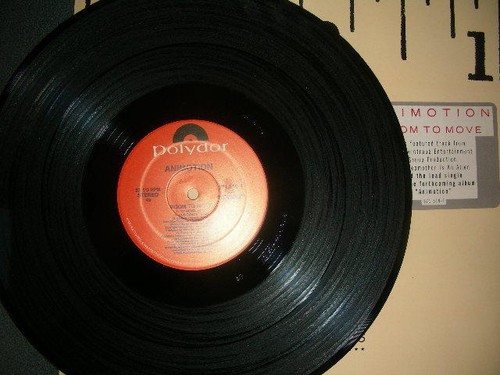 PROMO Dance 12" Animotion - Room To Move (5 Mixes) Polydor NM 1988 | eBay