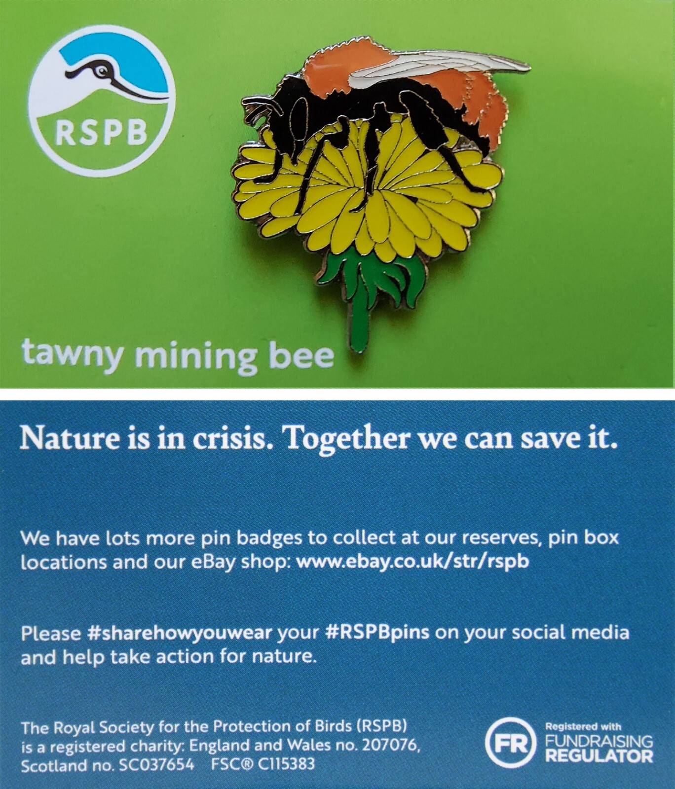 RSPB Pin Badge tawny mining bee NIIC P03132 | eBay UK