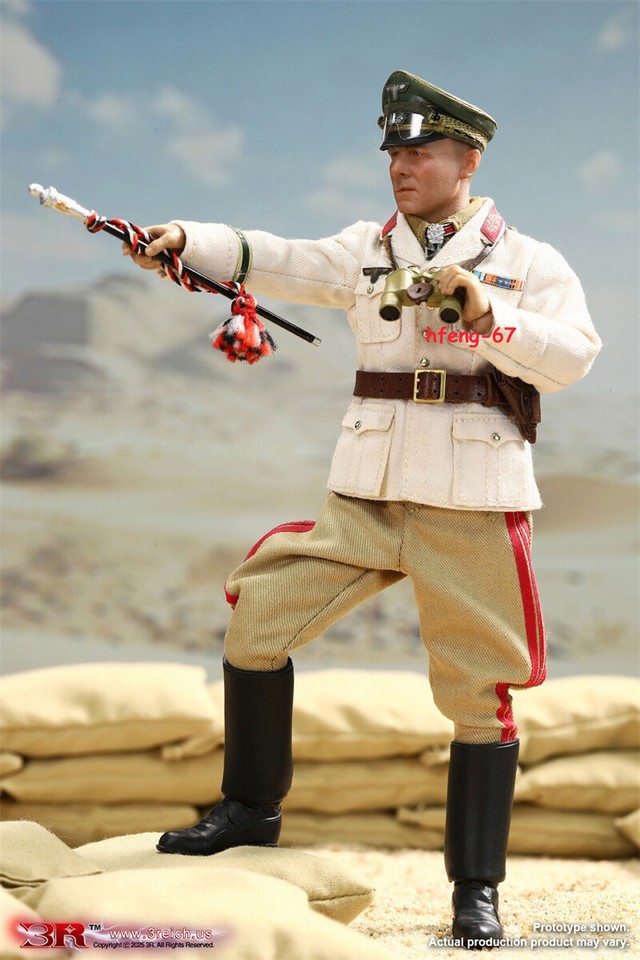 DID 3R TG80004 Erwin Johannes Eugen Rommel 1/12 Action Figure ...