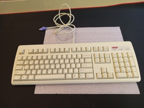 Digital RT2158TW Computer Keyboard Wired PCXLA-GA PS2 | eBay