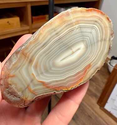 11.4oz LAKE SUPERIOR AGATE NICE BIG BANDED FACE SHOWING CUT | eBay