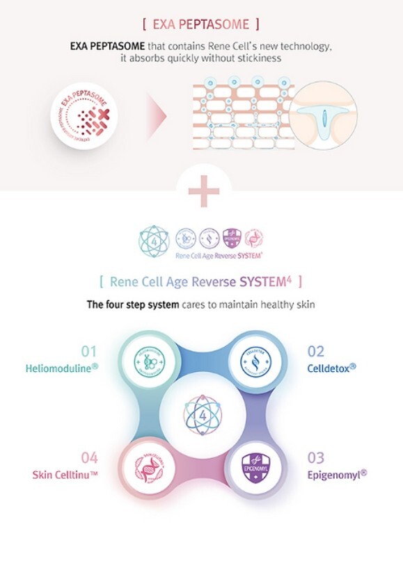 RENECELL Absolute Sun Protection 50g SPF50+PA++++ Sunscreen Sun Cream ...