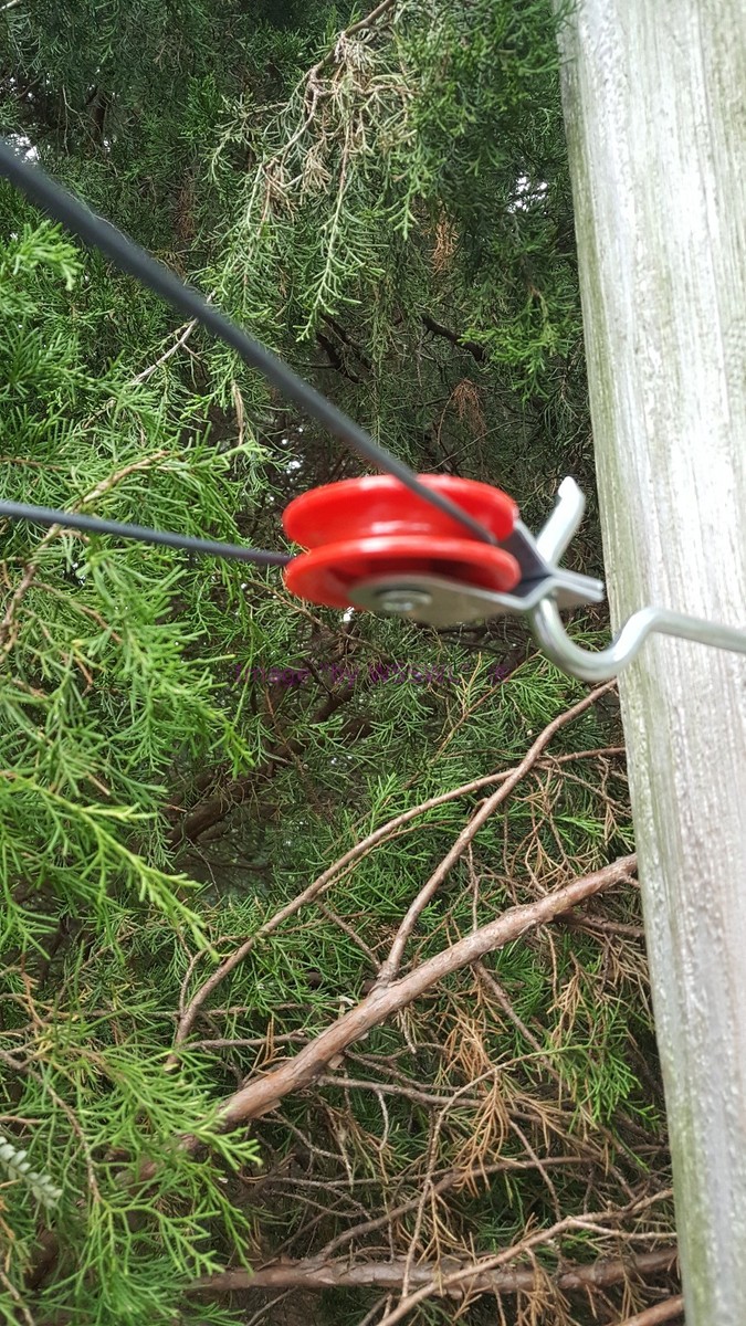 Dipole Pulley Antenna Cost Antenna Radio Dipole At Jayden Peter Blog ...