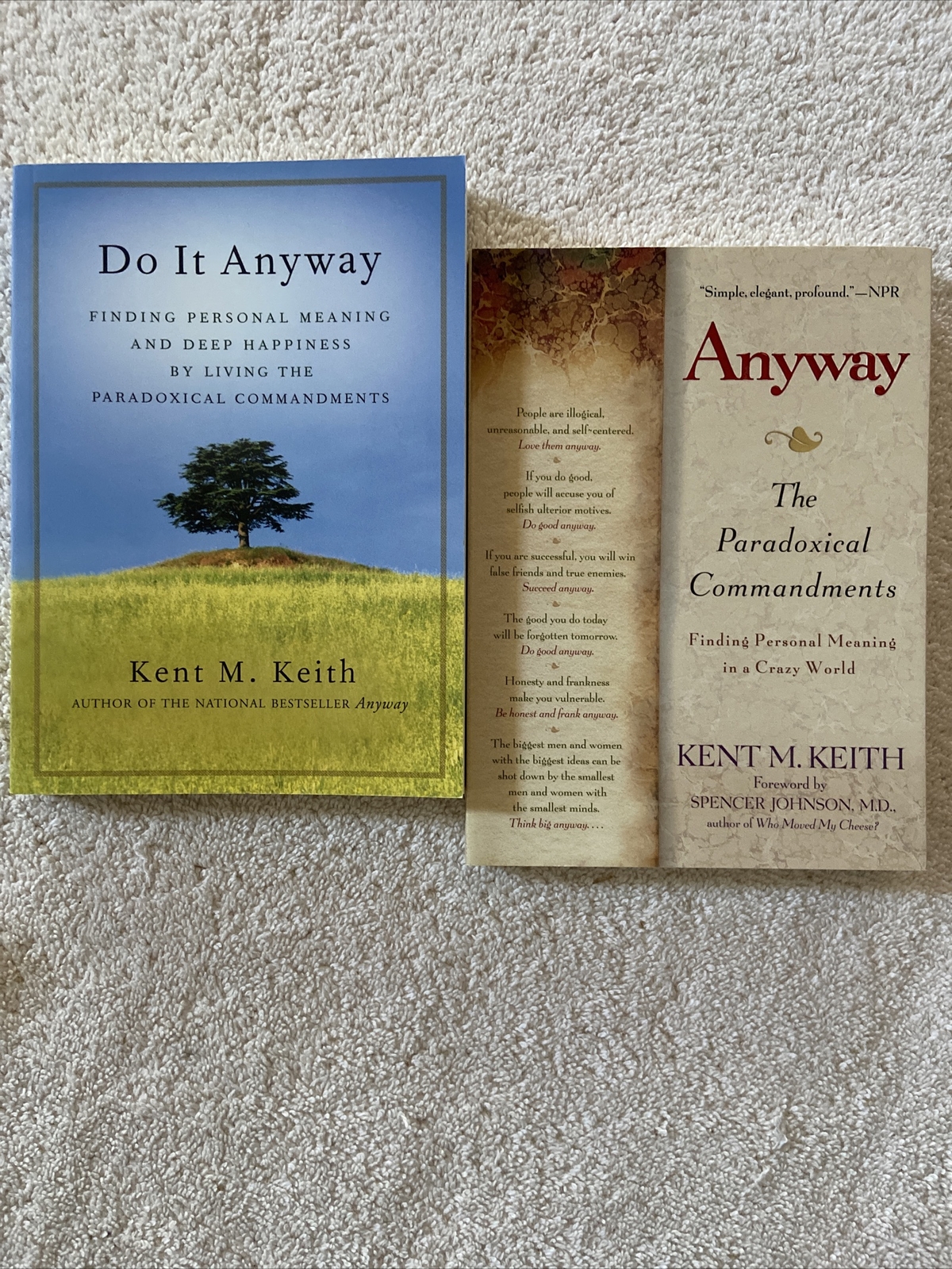 Do It Anyway : Finding Personal Meaning and Deep Happiness by Living ...