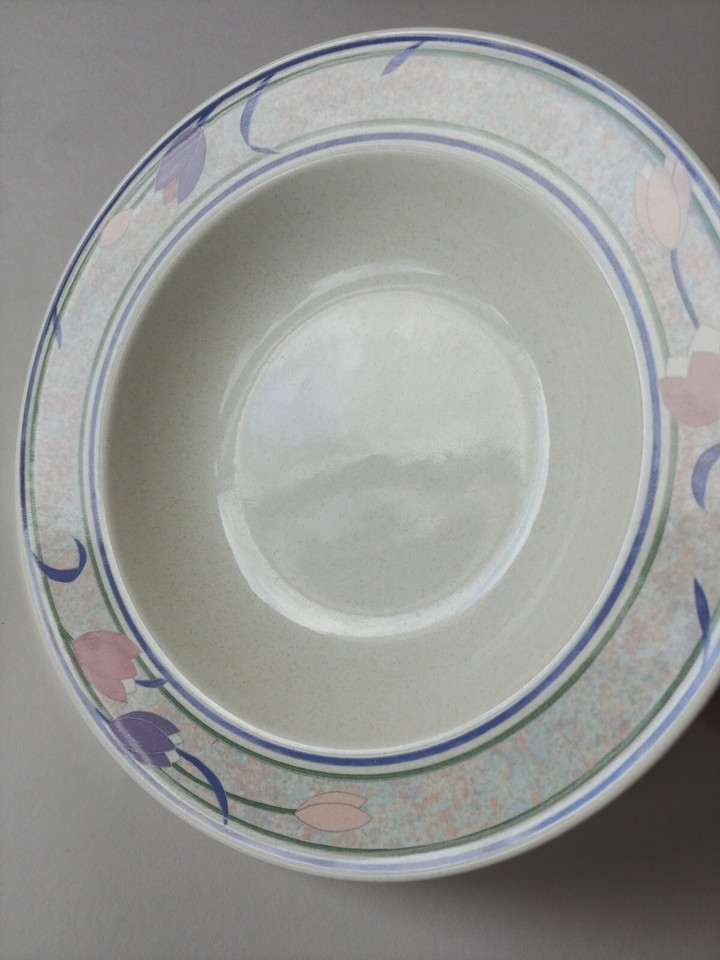 8pc Set (4 Dinner Plates +4 Soup Bowls) Mikasa Intaglio Tropical Island ...