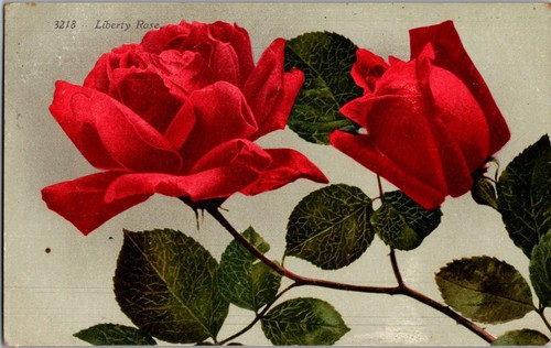 Vintage Postcard Liberty Red Rose Flowers 1913 KO9 | eBay