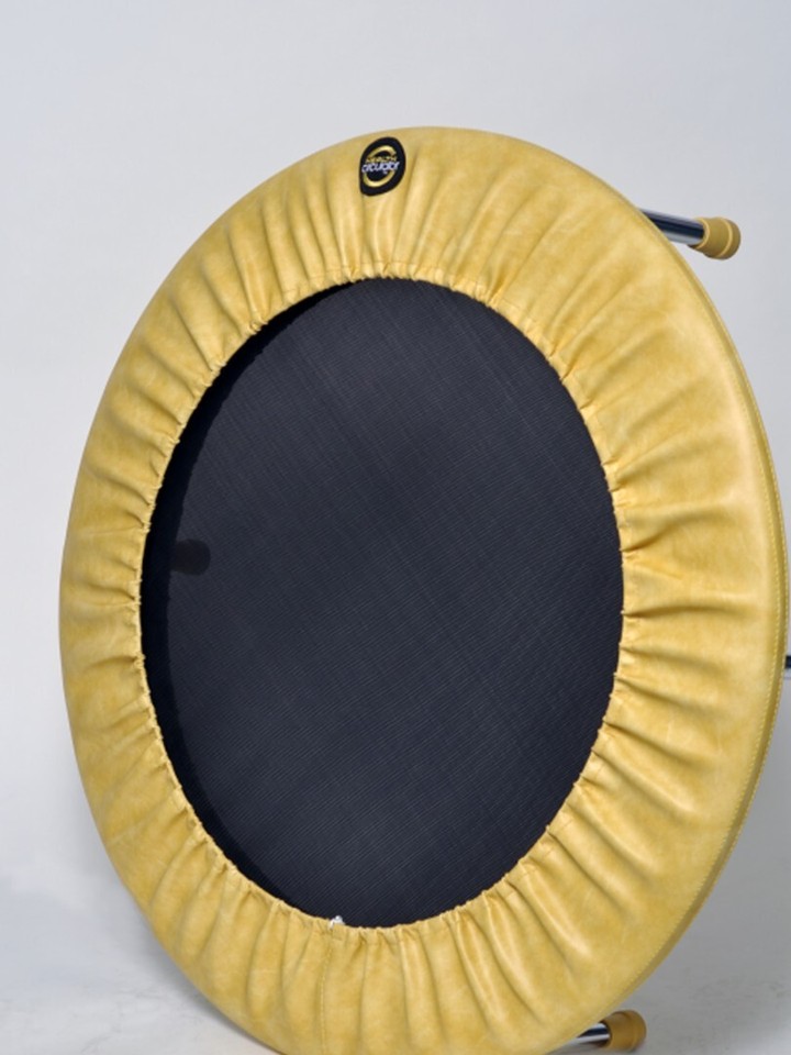 Health Circulator Rebounder Mini Lymphatic Rebounding Trampoline | eBay