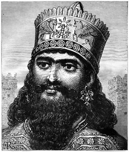 Merchant of Babylon | eBay Stores