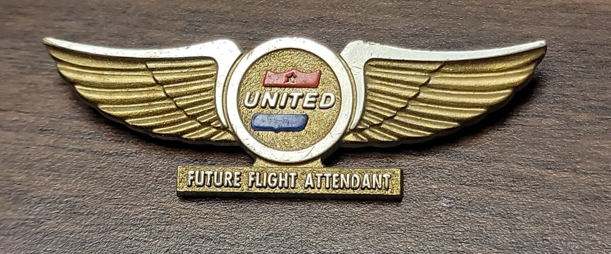 Flying Wings Pin