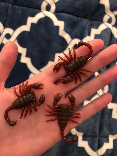 XFX 50Pcs/pack Fake Scorpions Plastic Realistic Bugs Simulated Prank ...