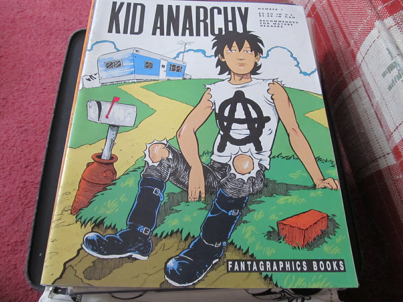 Kid Anarchy #1 Fantagraphics Books | eBay