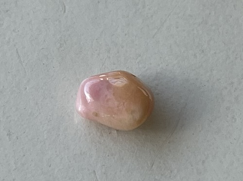 pink conch pearl. Conch Pearl. Caribbean Pearl | eBay