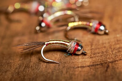 Rainbow Warrior Nymph Size 16 With Tungsten Bead Head | eBay