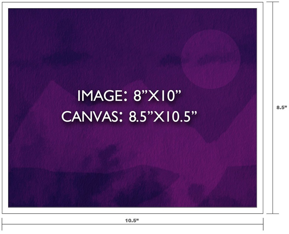 HUMAN SKULL SIDE PROFILE ANATOMY ILLUSTRATION PAINTING ART REAL CANVAS ...