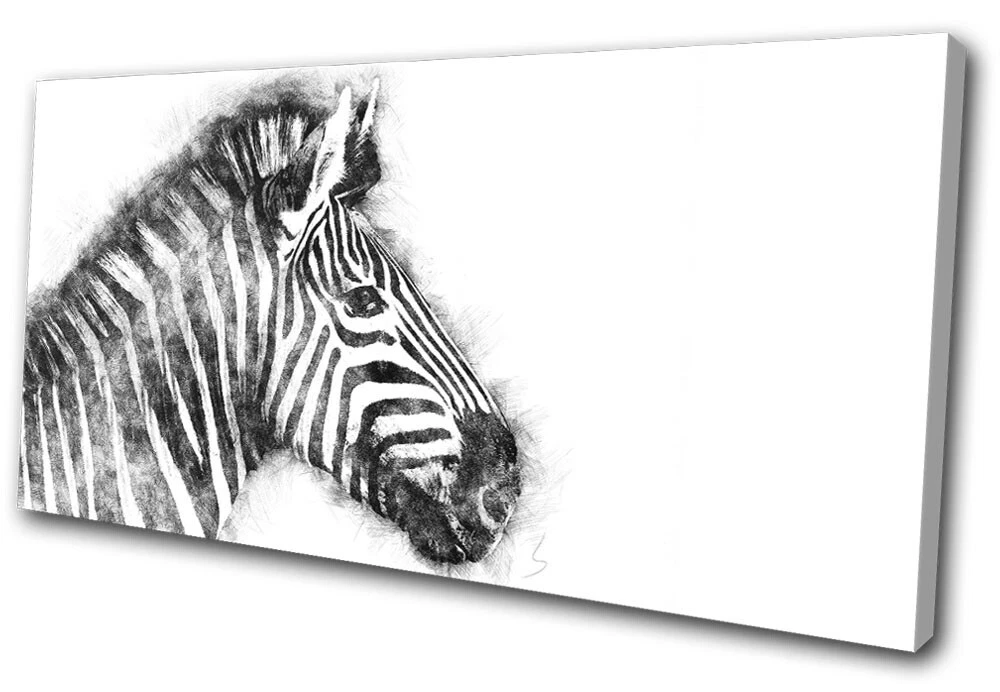 Zebra Print Sketch