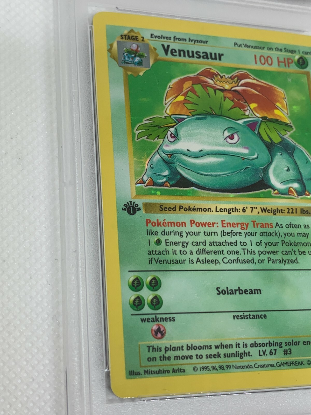 Pokemon Venusaur #15 1st Edition HOLO Foil Thin Stamp 1999 PSA 4 ...