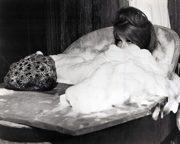 Sharon Tate snuggles in sudsy bath 1967 Fearless Vampire Killers 24x36 ...