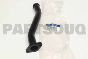 2546025002 Genuine Hyundai / KIA PIPE & O-RING ASSY-W/INLET | eBay