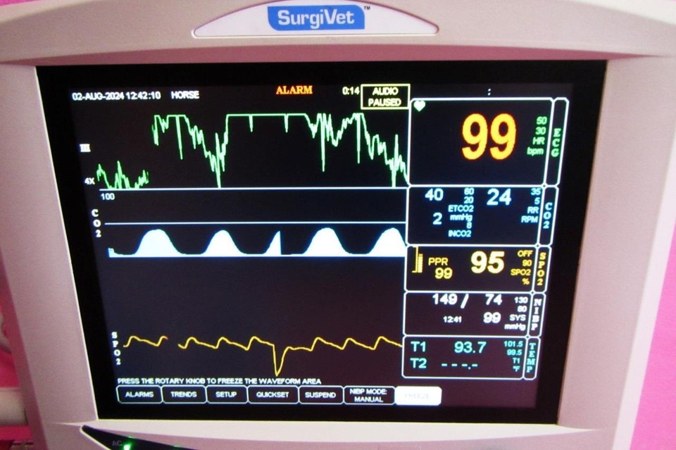 Surgivet Advisor V9203 Veterinary Vital Signs Monitor CO2-ECG-IBP-NIBP ...