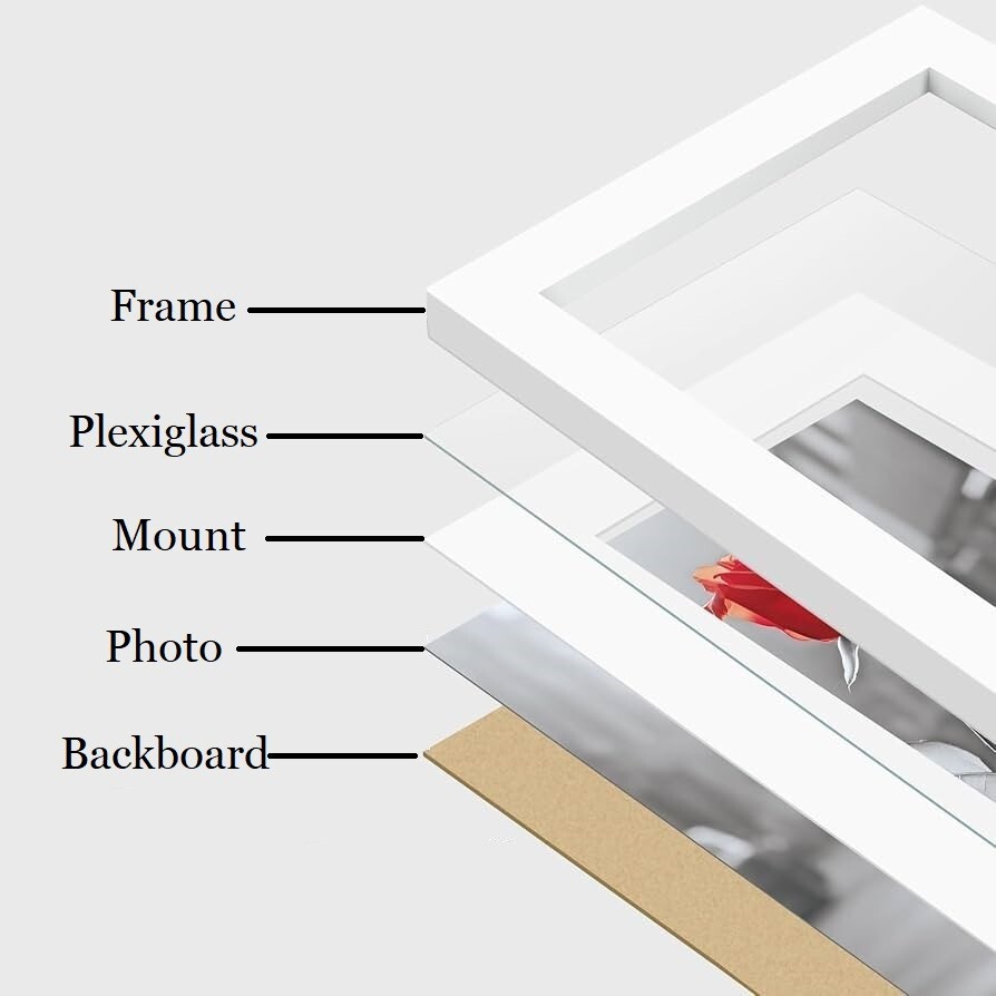 A1 A2 A3 A4 Photo Frame Picture Frame Poster Frames Without & With ...