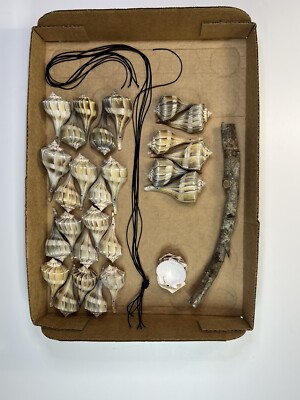 3.5" Lightning Whelk 5 String Sea Shell Wind chimes KIT Wall Patio ...