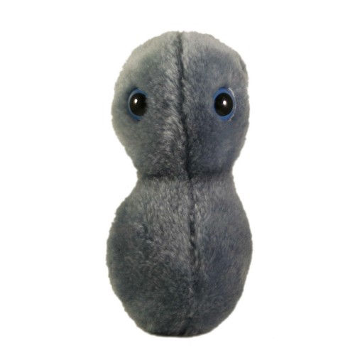 Giant Microbes The Clap Gonorrhoea STI Plush Toy Soft Body Educational ...