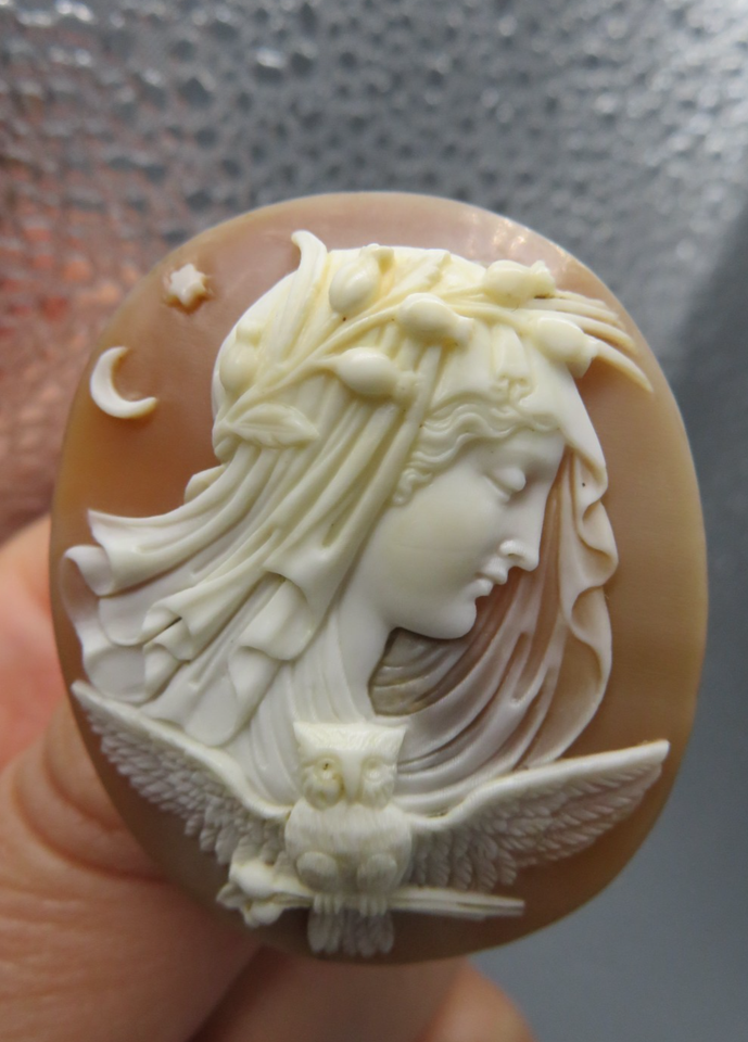 Antique Shell Cameo of Goddess of Night, Nyx unmounted | eBay