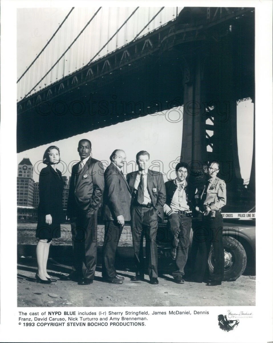 The Bridge Tv Series Cast
