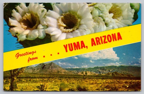 Postcard - Greetings from Yuma, Arizona - Flowers, circa 1960s ...