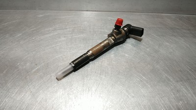 INJECTEUR FAP Renault 2007 8200380253/8200294788/5WS40087/A2C59511606 ...