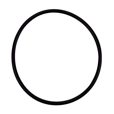 355227Z Pentair Diffuser O-Ring | eBay
