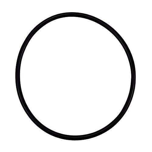 355227Z Pentair Diffuser O-Ring | eBay