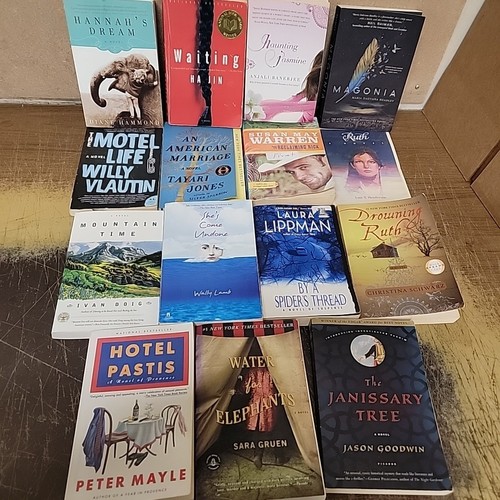 Lot of 51 Large Trade Literature Fiction Paperback BestSeller UNSORTED ...