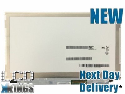 AU OPTRONICS B101EW01 V2 10.1 " Notebook Display | eBay