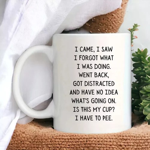 I Came I Saw I Forgot What I Was Doing Coffee Mug, Funny Mug ...